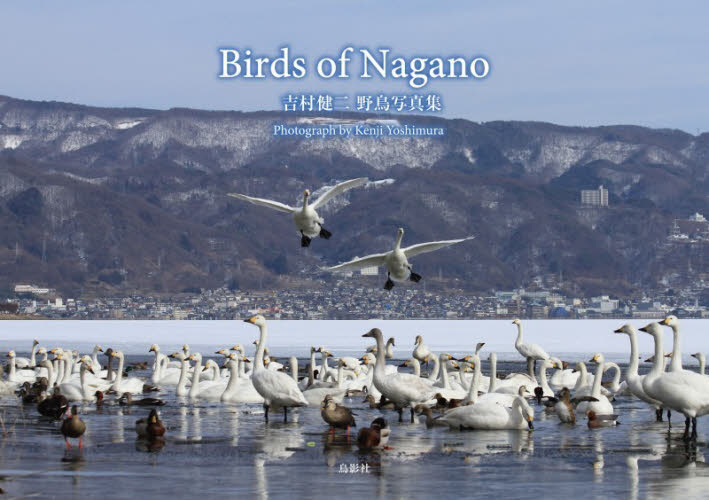Birds of Nagano 吉村健二野鳥写真集 Kenji Yoshimura／著 ネーチャー写真集 - 最安値・価格比較 - Yahoo ...